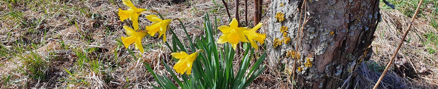 Gemeinde Oberrot | Sehenswertes