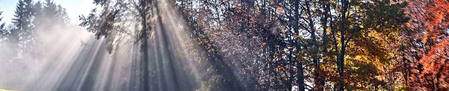 Gemeinde Oberrot | Startseite